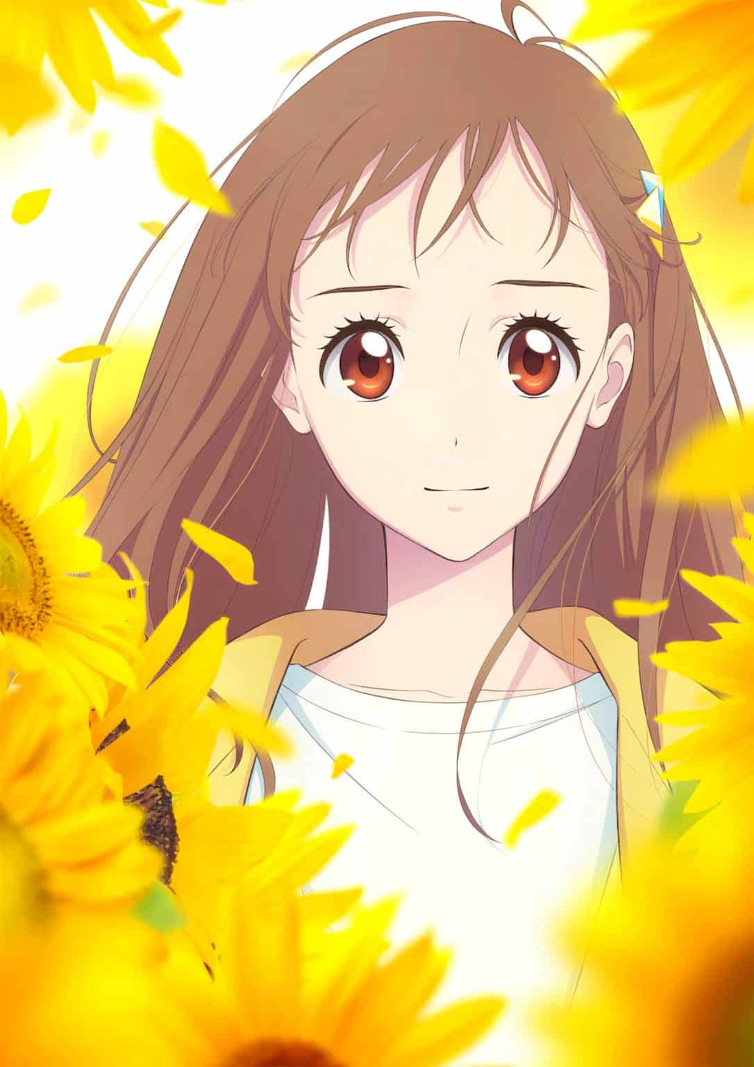 Le Film d'Animation Original Hula Fulla Dance, Annoncé - AnimOtaku