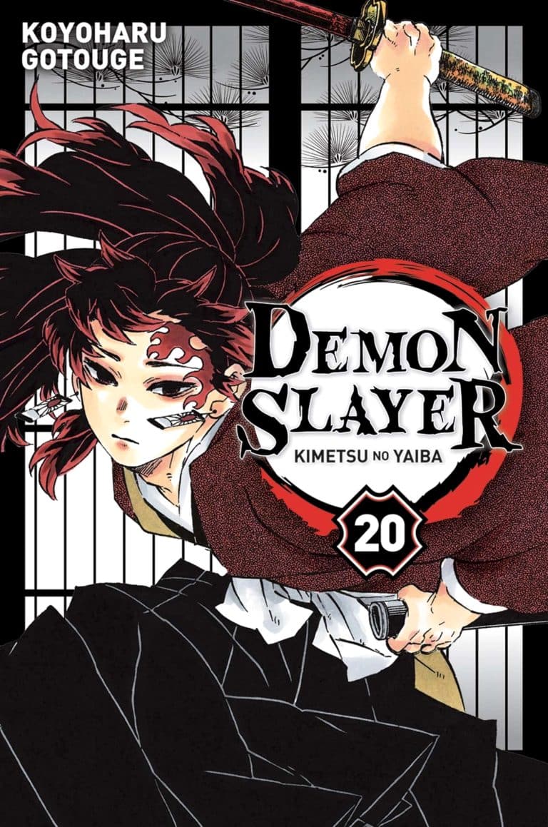 Demon Slayer : Kimetsu no Yaiba Saison 4 - Wiki Anime - AnimOtaku